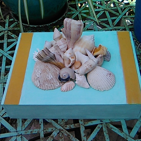 Accents | Recycled Cigar Box Mint Green With Shells | Poshmark